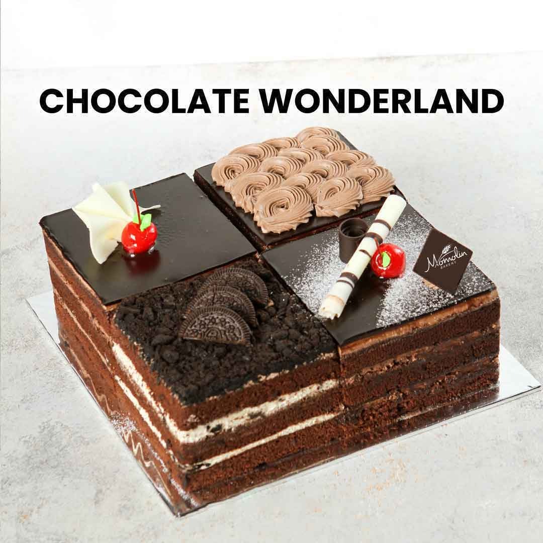 Chocolate Wonderland Cake