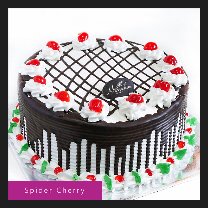 Basic Collection Cake