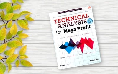 Technical Analysis for Mega Profit